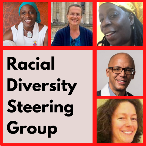 Racial Diversity | Triratna Development